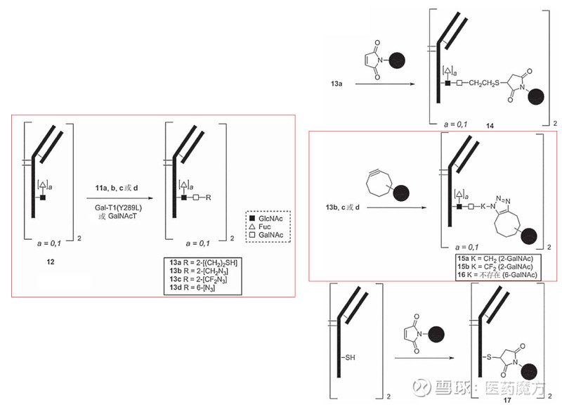Synaffix公司ADC专利技术解析 Synaffix BV是荷兰一家生物技术公司，专注于开发抗体偶联药物(ADC)技术以成为同类最佳 ...