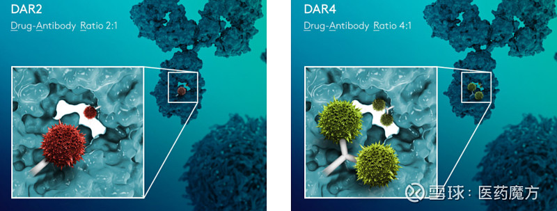 Synaffix公司ADC专利技术解析 Synaffix BV是荷兰一家生物技术公司，专注于开发抗体偶联药物(ADC)技术以成为同类最佳 ...