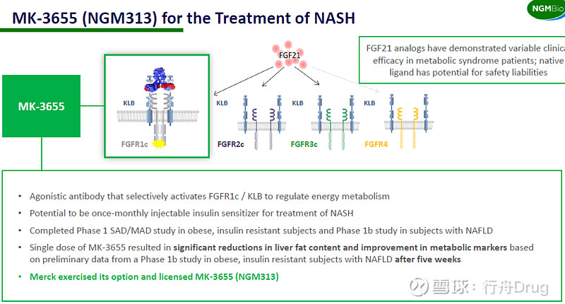 NGM Biopharma技术全梳理 点击上方的 行舟Drug 添加关注 Armstrong NGM Biopharmaceuticals成立 ...