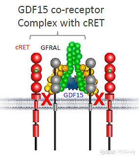 NGM Biopharma技术全梳理 点击上方的 行舟Drug 添加关注 Armstrong NGM Biopharmaceuticals成立 ...