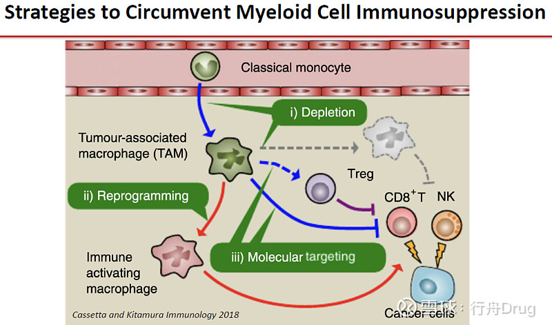 NGM Biopharma技术全梳理 点击上方的 行舟Drug 添加关注 Armstrong NGM Biopharmaceuticals成立 ...