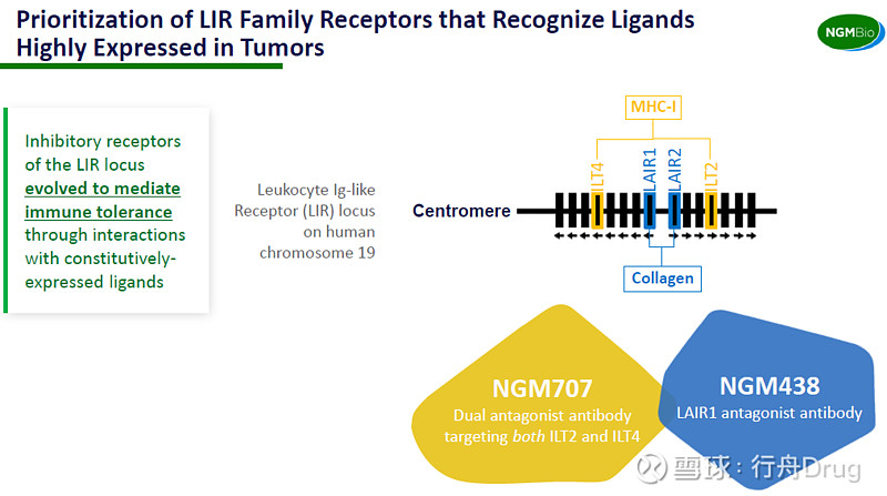 NGM Biopharma技术全梳理 点击上方的 行舟Drug 添加关注 Armstrong NGM Biopharmaceuticals成立 ...