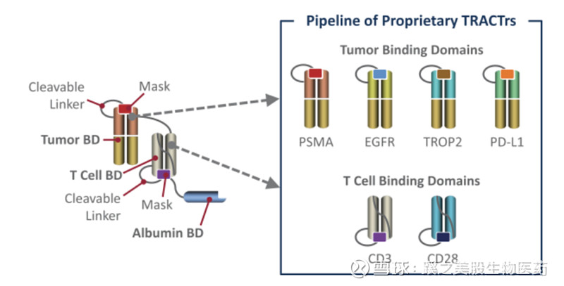 IPO早知道 | Janux Therapeutics：下一代TCE公司申请1亿美元IPO上市 作者：Wenjing 微信公众号：蹊之美股生物 ...