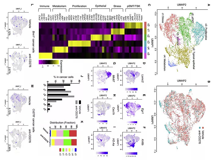 CD276 (B7-H3)：HNSCC免疫治疗的独特靶点 免疫疗法是一种新型的癌症临床治疗方法，目前已取得了很大的成功。然而，免疫检查点的相关 ...