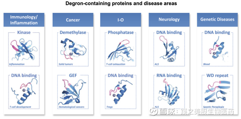 IPO早知道 | Monte Rosa Therapeutics：分子胶水型蛋白质降解公司... 作者：Wenjing 微信公众号：蹊之美股 ...