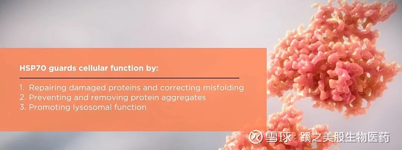 BioNews | Orphazyme：+300%, FDA即将公布的Arimoclomo... 作者：林出 微信公众号：蹊之美股生物医药 ...