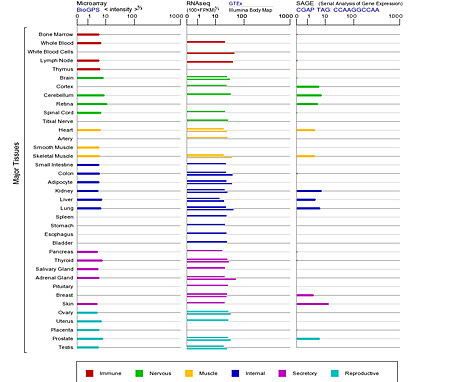 MECP2再激活，雷特综合征患者的新福音？ 原文链接：网页链接雷特综合征是一种严重影响儿童精神运动发育的疾病，属于神经发育障碍类疾病。该病患病 ...
