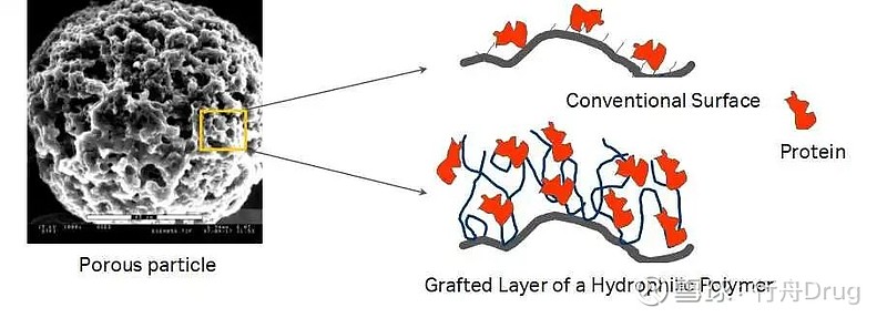 质粒纯化两步法详解 随着基因治疗/细胞治疗和 mRNA 药物的发展，质粒DNA得到了更广泛的应用。质粒DNA可以作为疫苗或治疗性药物单独使用 ...