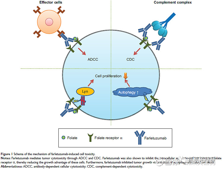 ADC让过期化药巅峰与被弃单抗重放光彩，BMS以31亿美元获MORAb-202权益 欢迎关注 凯莱英 药闻公众号原文链接：网页链接6月18日 ...