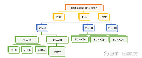 实力靶点PI3K：诸侯争霸，剑走奇峰 磷酯酰肌醇-3-激酶（phosphatidylinositol 3 kinase，PI3K）家族是一类 ...