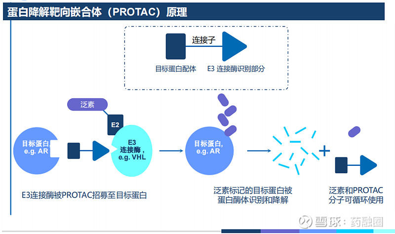 全球PROTAC药物的竞争格局 注：本文不构成任何投资意见和建议，以官方/公司公告为准；本文仅作 医疗健康 相关药物介绍，非治疗方案推荐（若涉及）。 P... - 雪球