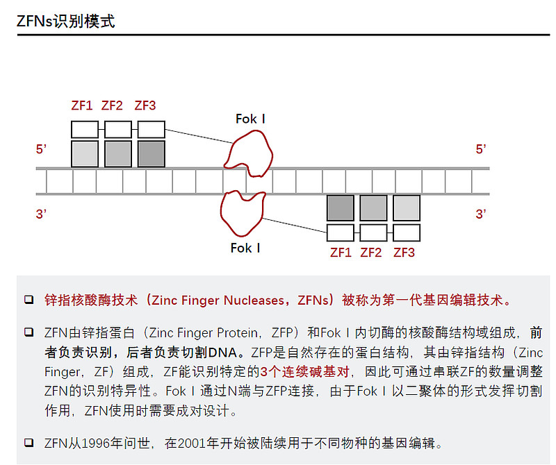 基因编辑 分类第一代：ZFNs技术（锌指核酸酶）优势：修复方式多样劣势：专利封锁第二代：TALENS技术（转录激活因子样效应物核酸... - 雪球