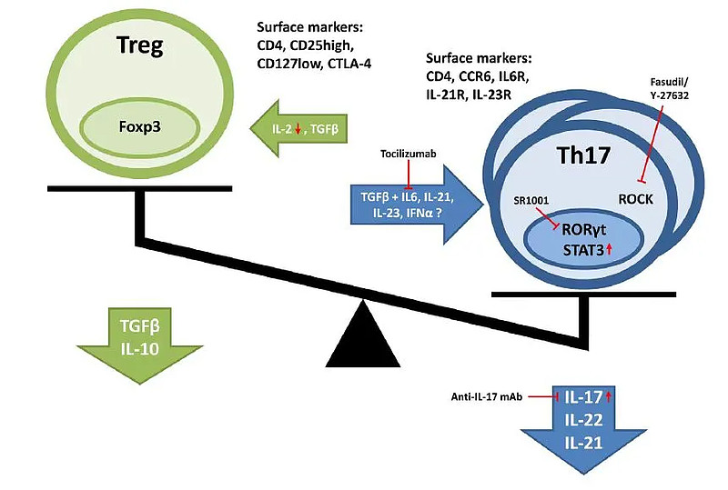 CAR-Treg：自免市场的黑马，对阿尔茨海默症居然也有效 无论是Biotech新贵还是老牌Big Pharma，产品管线都有布局肿瘤治疗领域 ...