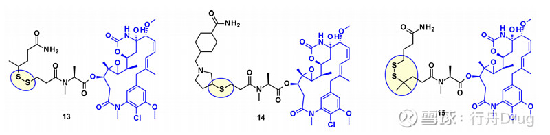 ADC有效载荷及研究进展详述 点击上方的 行舟Drug 添加关注前言 抗体偶联药物(ADC)是由靶向特异性抗原的单克隆抗体与小分子细胞毒性药物 ...