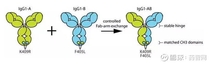 有别于PD-1“去刹车”，发挥“踩油门”的4-1BB路又在何方？ 近日，两款PD-L1×4-1BB双抗的临床试验申请获NMPA受理，分别为 ...