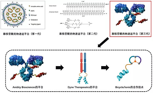 Self Renew专栏｜双环肽——比肩抗体，更进一步 原文链接7月13日，Bicycle Therapeutics 公司与Ionis ...