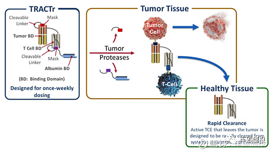 Janux：戴上“mask”的双抗 2580字19图，阅读大约需要8分钟。文章首发于丰硕创投，欢迎朋友圈与微信转发。公众号及其它平台转载请后台 ...