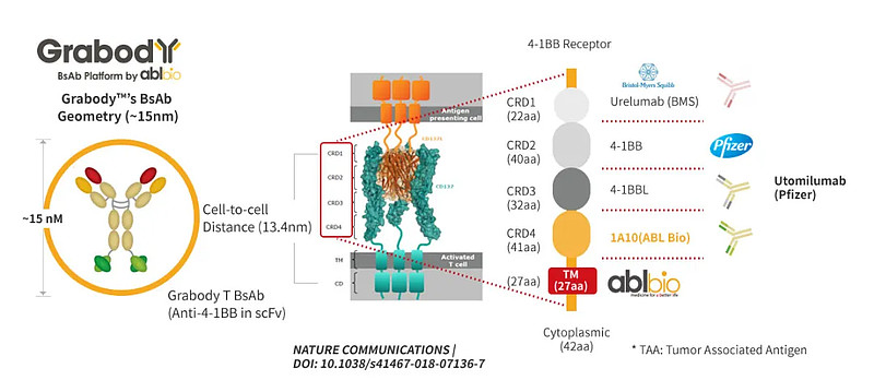 【深度研究2】Claudin 18.2靶点竞争格局和新机会：CAR-T、双抗、ADC、CARVac 原创 Armstrong 医药笔记 ...