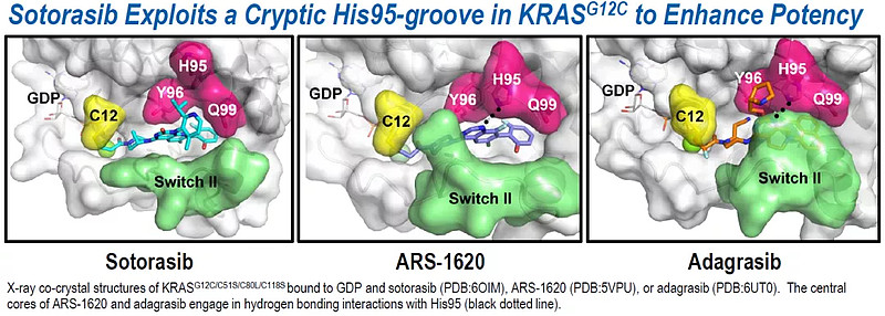 新型KRAS抑制剂tricomplex或有望破解KRAS-G12C耐药难题 原文链接KRAS突变是人类癌症中最常见的致癌突变之一，其突变主要 ...