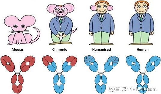 国内基因编辑发展现状之模式动物行业 随着 Intellia 临床试验关键数据的披露，基因编辑在疾病治疗中的应用越来越热，被人们寄予厚望，回首 ...