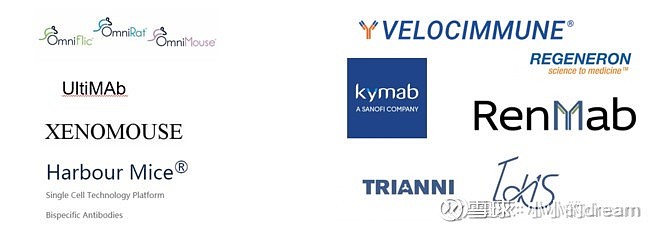 国内基因编辑发展现状之模式动物行业 随着 Intellia 临床试验关键数据的披露，基因编辑在疾病治疗中的应用越来越热，被人们寄予厚望，回首 ...