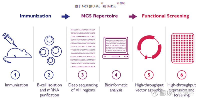 斥资25亿美元！安进买下Teneobio为双抗开发提速丨医麦猛爆料 医麦客近期热门报道 ★Polyplus在中国投资设立办事处，赋能中国细胞和 ...