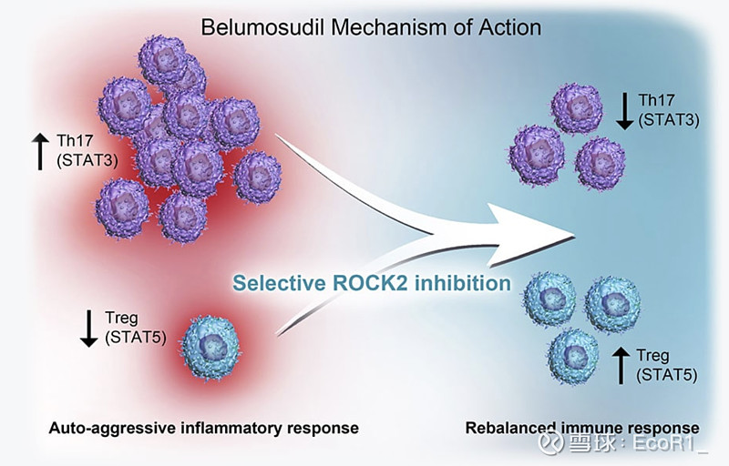 Kadmon：首款ROCK2抑制剂获批上市 $Kadmon Holdings(KDMN)$ $因塞特(INCY)$ 文章从公众号：薛定谔的 ...