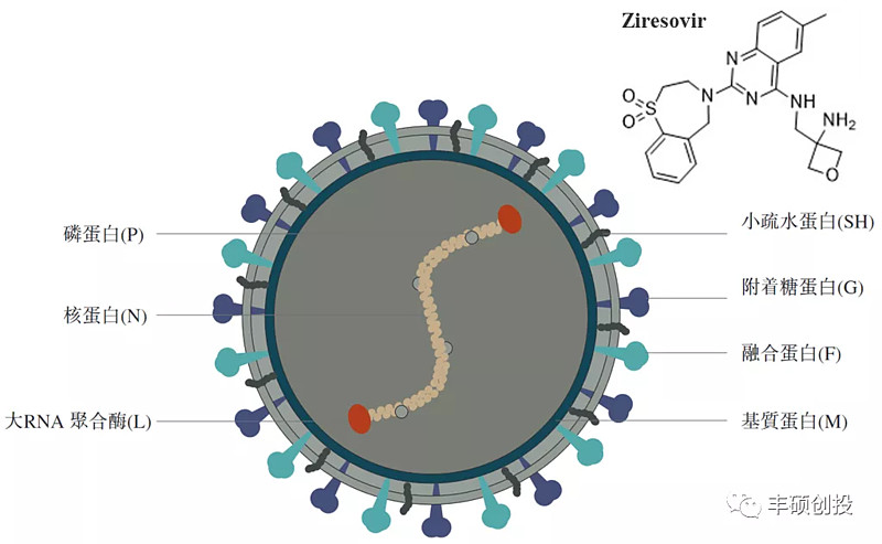 爱科百发，能否成为独角兽？ 近日在港交所递交IPO申请的爱科百发，仅靠一款出彩的Ziresovir，获得了启明、高瓴等一众投资者的青睐，最新一 ...