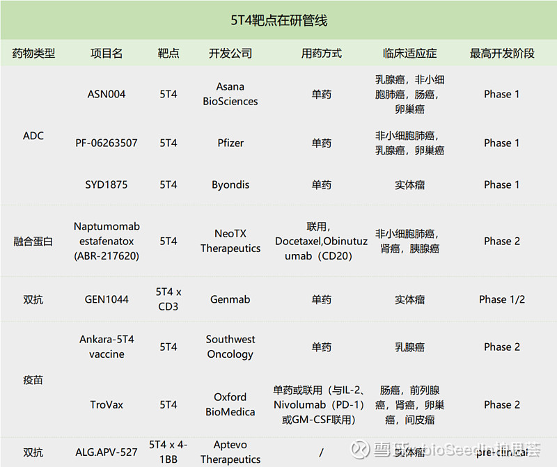 研究报告 | 5T4靶点在研现状 5T4靶点定义5T4，又称TPBG、Wnt 激活抑制因子 1 或 WAIF1，是一种由 TPBG 基因编码的人类蛋白质。... - 雪球