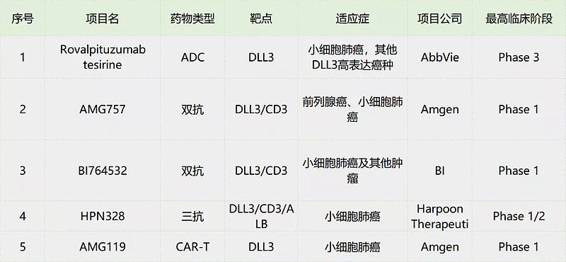 研究报告 | 靶向DLL3药物在研现状 DLL3靶点介绍DLL3是一种高度肿瘤选择性的细胞表面靶点，主要表达于神经或者神经内分泌肿瘤，包括小细胞肺癌（SCLC）... - 雪球