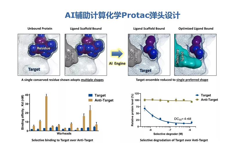 写意报告丨从TRK靶向蛋白降解剂开发看Protac设计 应同写意邀请，上海睿跃 生物科技 董事长罗楹博士在同写意“网页链接 - 雪球