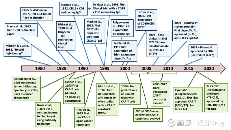 与CAR-T比美，CD3重导向双抗为免疫治疗带来新气象 点击上方的 行舟Drug 添加关注 2021年8月26日/医麦客新闻 eMedClub ...