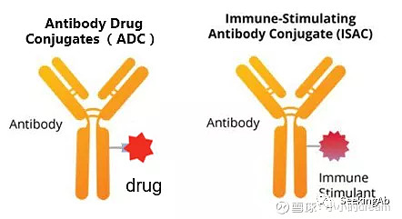 信达生物刚刚引进的ISAC技术有多厉害？ $Bolt Biotherapeutics(BOLT)$ $信达生物(01801)$ 昨天， 信达 ...