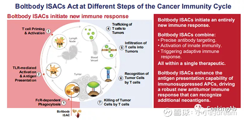 信达生物刚刚引进的ISAC技术有多厉害？ $Bolt Biotherapeutics(BOLT)$ $信达生物(01801)$ 昨天， 信达 ...