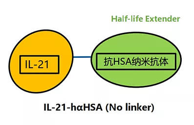 来自君实：国内首款IL-21融合蛋白获批临床 原文链接2021年8月30日 ,据CDE官网默示许可栏最新公示， 君实生物 的IL-21/HSA ...