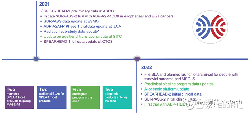 Adaptimmune Therapeutics：TCR-T细胞疗法 此文章最初发表在公众号薛定谔的 Biotech ...