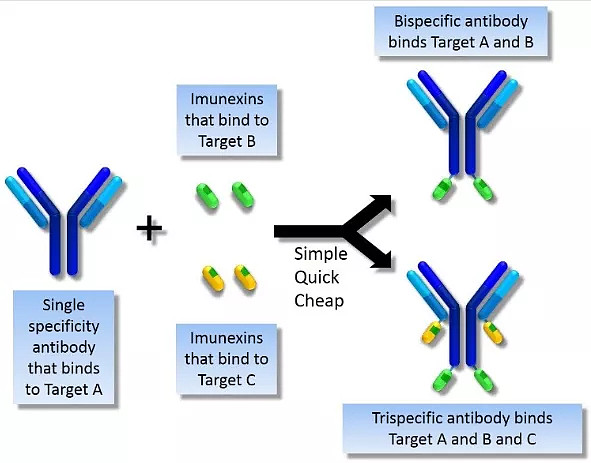 三抗技术梳理 本文转载自“医药笔记”微信公众号，作者：Armstrong2021年8月27日，启愈生物TAA/CTLA-4/IL-15... - 雪球