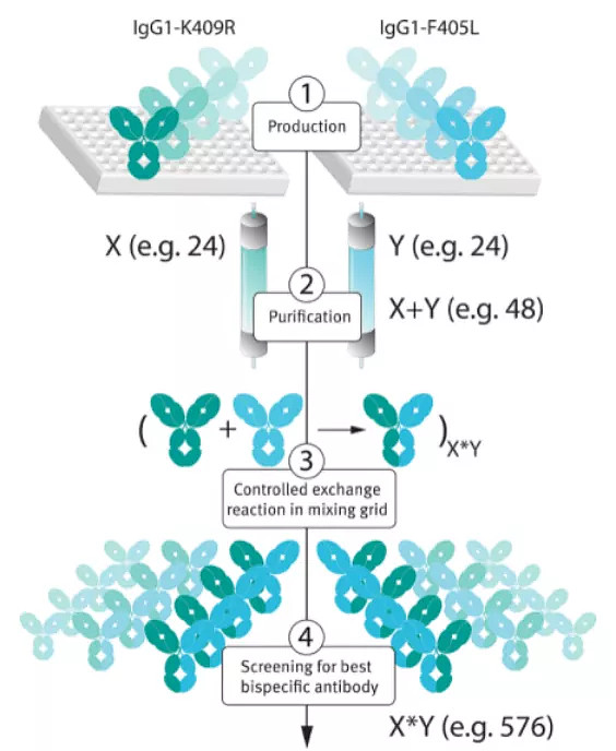 研究报告|靶向4-1BB药物在研现状 4-1BB靶点介绍4-1BB又名CD137，是一种激活型免疫检查点分子，其相对分子质量约30000，由 ...