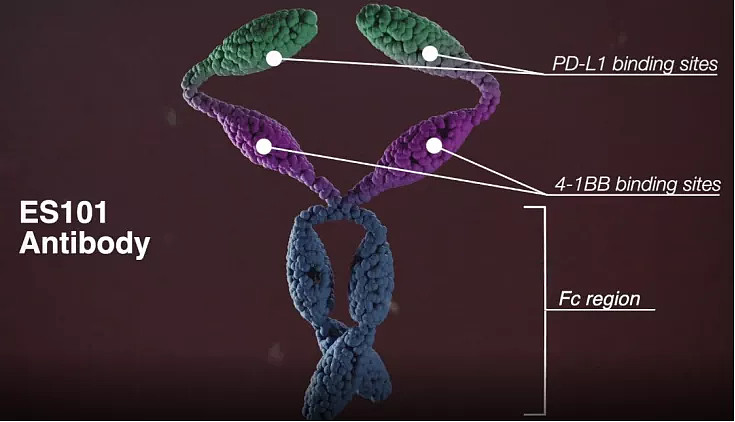 研究报告|靶向4-1BB药物在研现状 4-1BB靶点介绍4-1BB又名CD137，是一种激活型免疫检查点分子，其相对分子质量约30000，由 ...