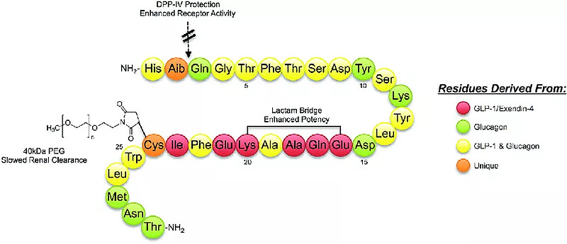 信达生物宣布GLP-1R/GCGR双激动剂IBI362在糖尿病患者中的II期临床研究完成首例患者给药 原文链接近日（9月8日） 信达生物 宣布 ...