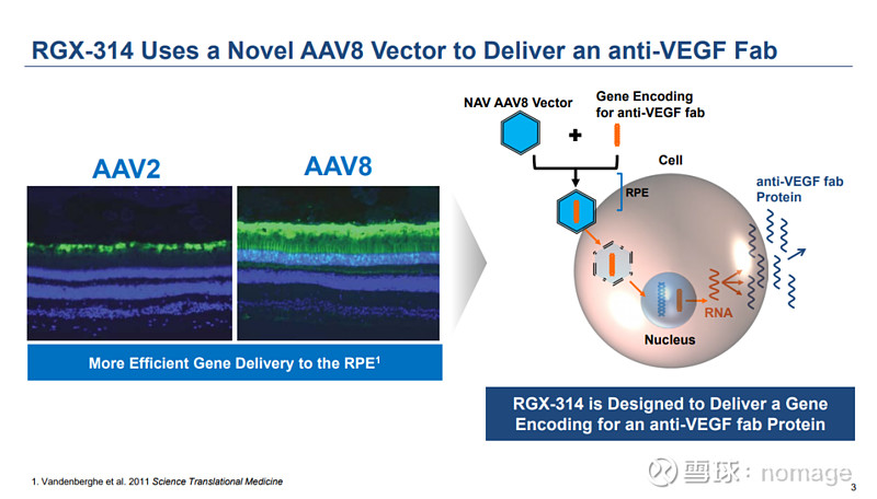 艾伯维17.5亿美元收购基因疗法管线RGX-314【AAV8载体】（转） 9月13日，艾伯维（AbbVie）与 Regenxbio 宣布双方就 ...