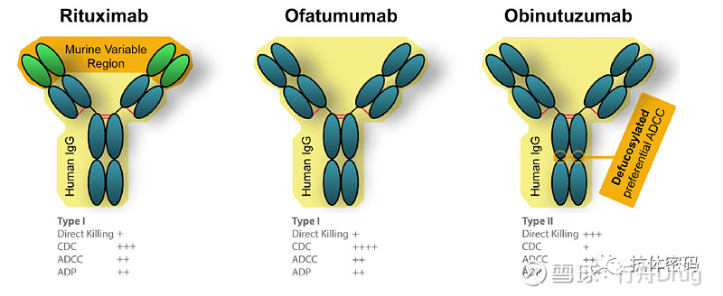 CD20 X CD3双特异抗体格局 近日， Genmab 和艾伯维宣布其靶向CD20xCD3的双特异抗体epcoritamab（GEN3013）在开放标签、... - 雪球