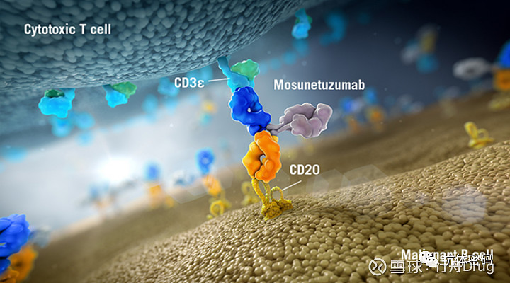 CD20 X CD3双特异抗体格局 近日， Genmab 和艾伯维宣布其靶向CD20xCD3的双特异抗体epcoritamab（GEN3013 ...
