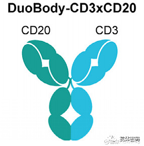 CD20 X CD3双特异抗体格局 近日， Genmab 和艾伯维宣布其靶向CD20xCD3的双特异抗体epcoritamab（GEN3013）在开放标签、... - 雪球