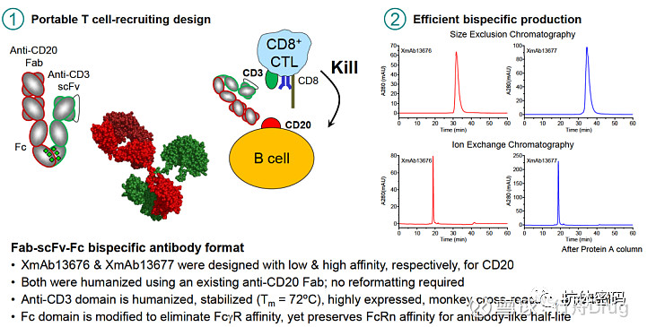CD20 X CD3双特异抗体格局 近日， Genmab 和艾伯维宣布其靶向CD20xCD3的双特异抗体epcoritamab（GEN3013 ...