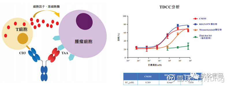 CD20 X CD3双特异抗体格局 近日， Genmab 和艾伯维宣布其靶向CD20xCD3的双特异抗体epcoritamab（GEN3013）在开放标签、... - 雪球