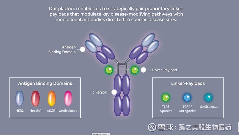 BioNews | Silverback: 公布SBT6050实体瘤研究数据后股价下滑 作者：林出 微信公众号：蹊之美股生物医药 ...