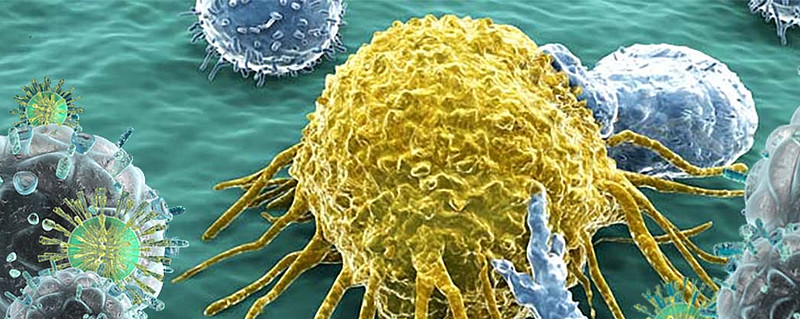 瞄准实体瘤，CAR巨噬细胞研究进程 9月22日，宾大科学家创立的Carisma Therapeutics 宣布，美国FDA已授予其细胞疗法CT ...