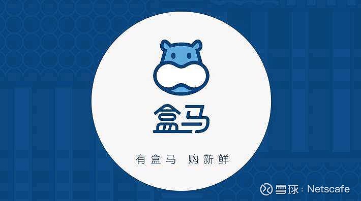 盒马的核心竞争力在于进化能力，最初是盒马鲜生，后来有盒马菜场、盒马mini、盒马小站、盒马里，再加上今年推出的盒马邻里，... - 雪球