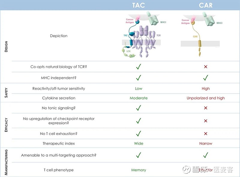 集合CAR/TCR-T优点！TAC-T细胞疗法完成首例患者给药丨医麦猛爆料 医麦客近期热门报道 ★加速产品上市！为产品定制独有的HCP检测方法 ★首款TF靶向ADC获美国FDA加速批准，用于 ...